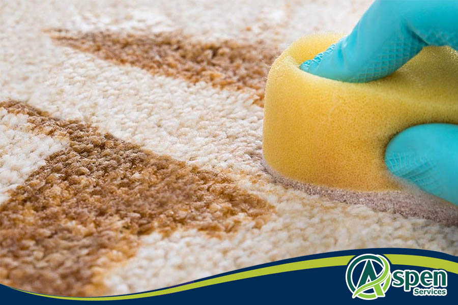 Top 5 Methods of Stain Removal